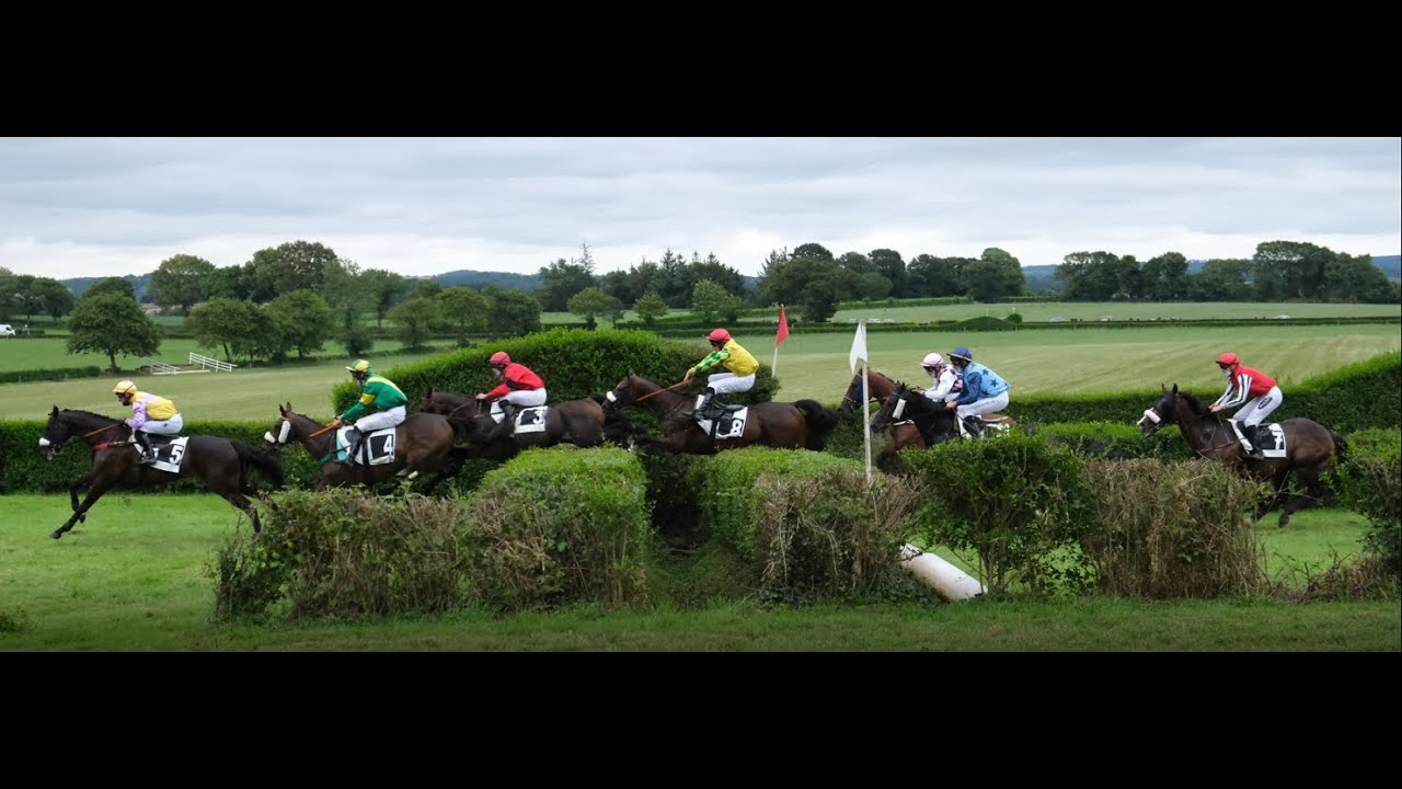 Courses de chevaux Corlay Grand Cross et Grand Steeple Chase 2020 - YouTube