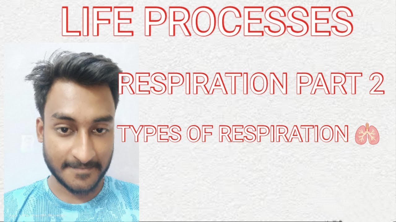 CLASS 10: LIFE PROCESSES - RESPIRATION PART 2 (TYPES OF RESPIRATION) 🫁 ...