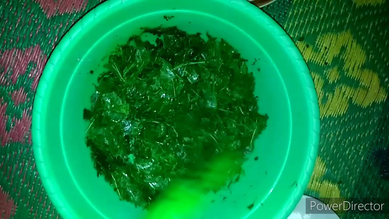 Sayur Tuttu' Khas Makassar | Olahan Daun Singkong - YouTube