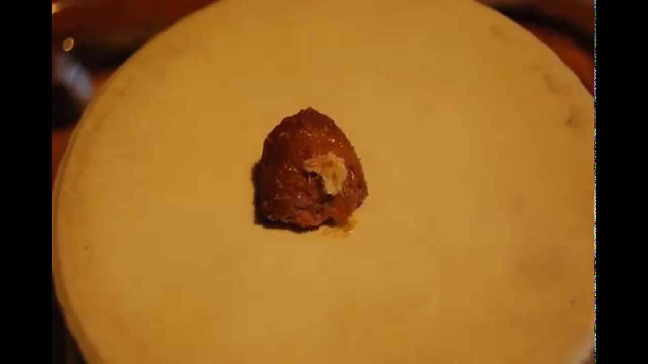 Maggots Timelapse Pt 1 - The Birth - YouTube