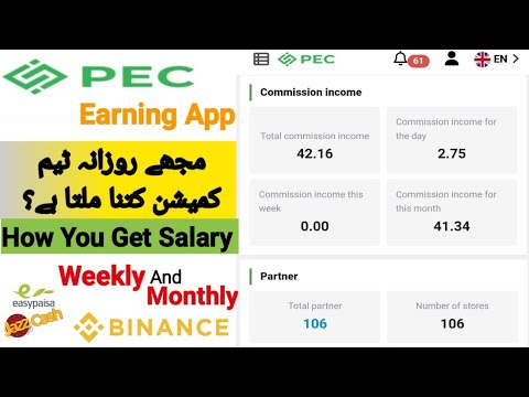 PEC Partner E-COMMERCE | How Much My Daily Team Income ? - YouTube