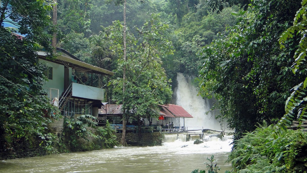 Cebu Island - Kawasan Waterfalls, Philippines HD - YouTube
