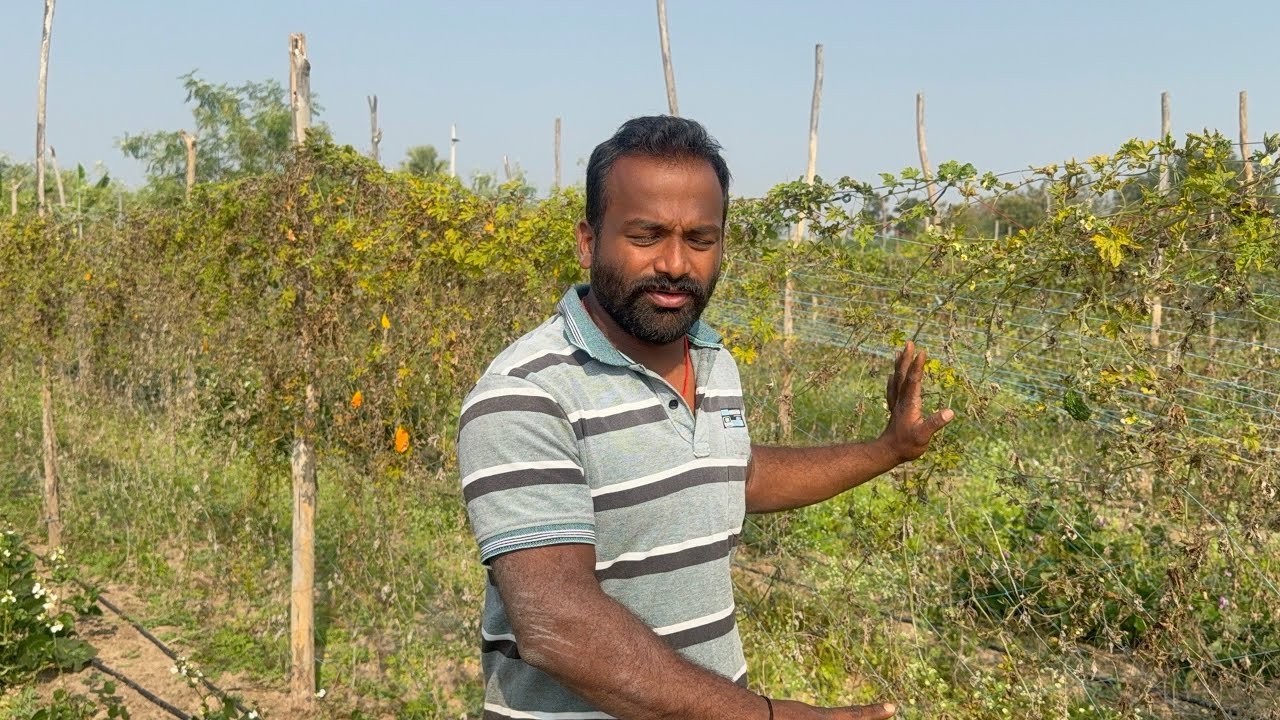Sandeep Natural farm filed visiting at Nemali village - YouTube