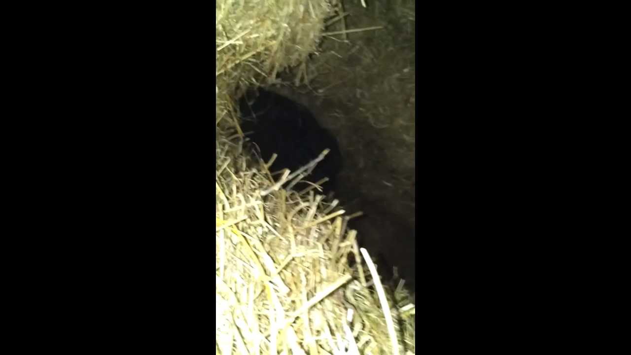 Kid falling down a hole FAIL! - YouTube