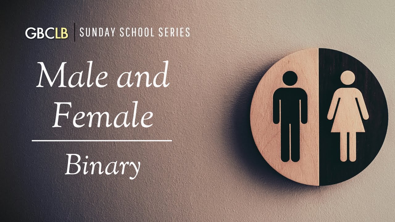 Male and Female: Binary Q&A - YouTube