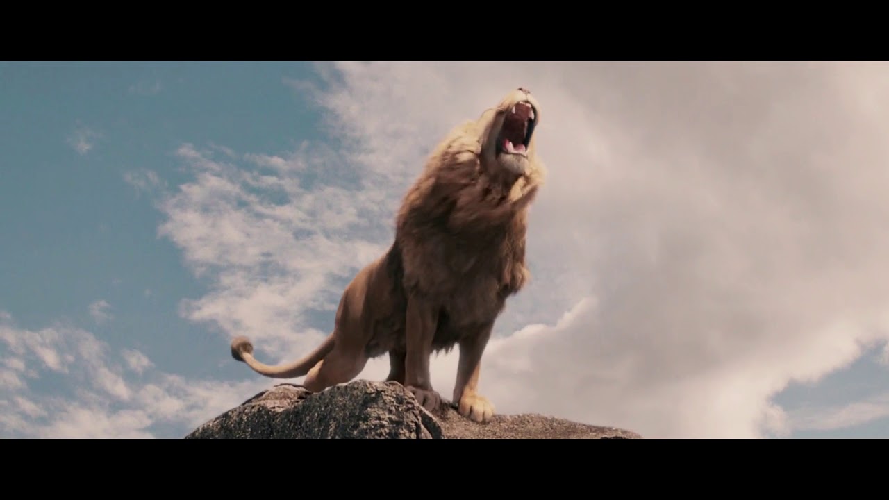 Classcraft: Animal kingdoms boss battle introduction - YouTube