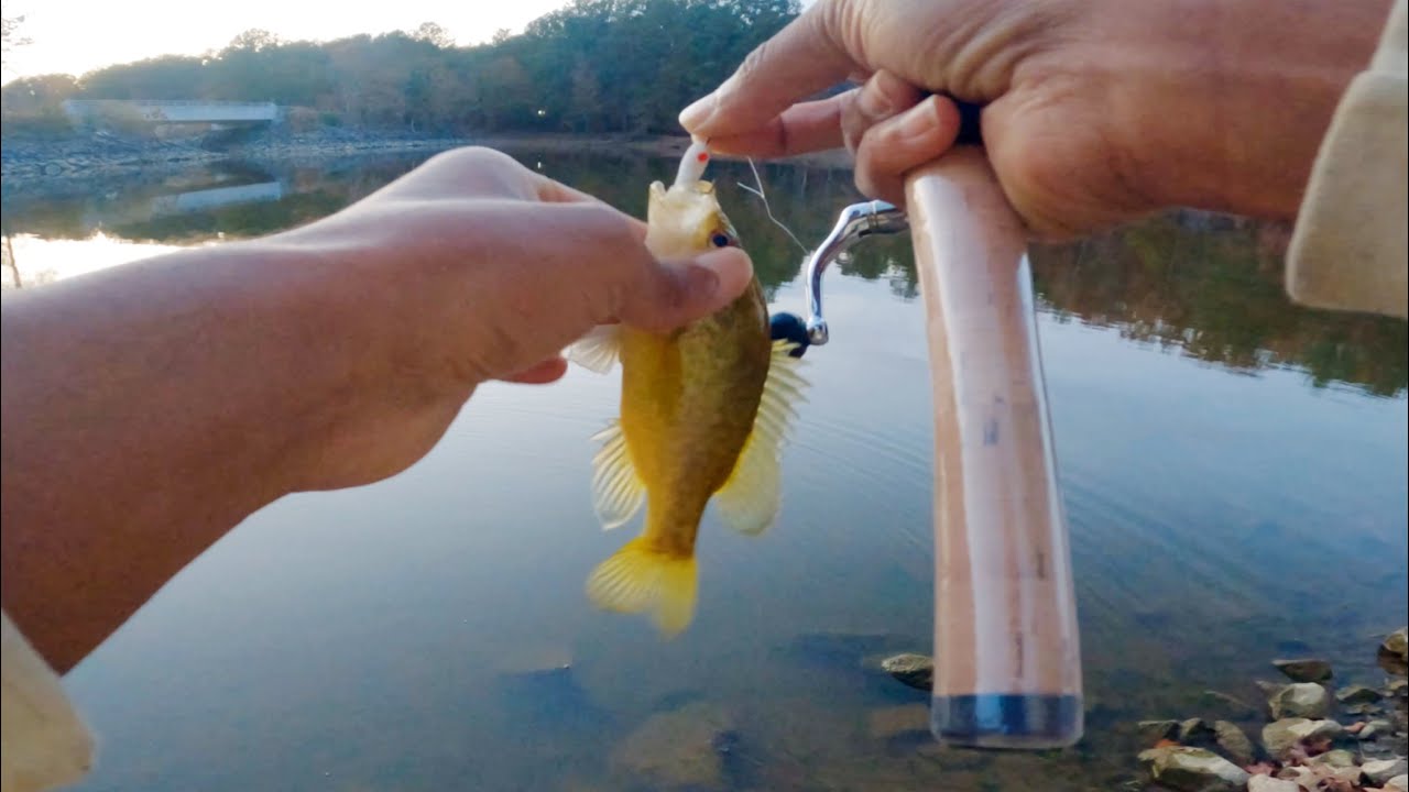 Catching Bait Fish In Late Fall Easily - YouTube