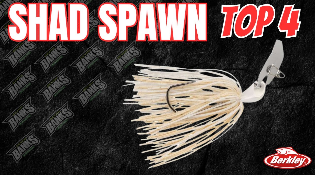Shad Spawn: Top 4 Baits - YouTube