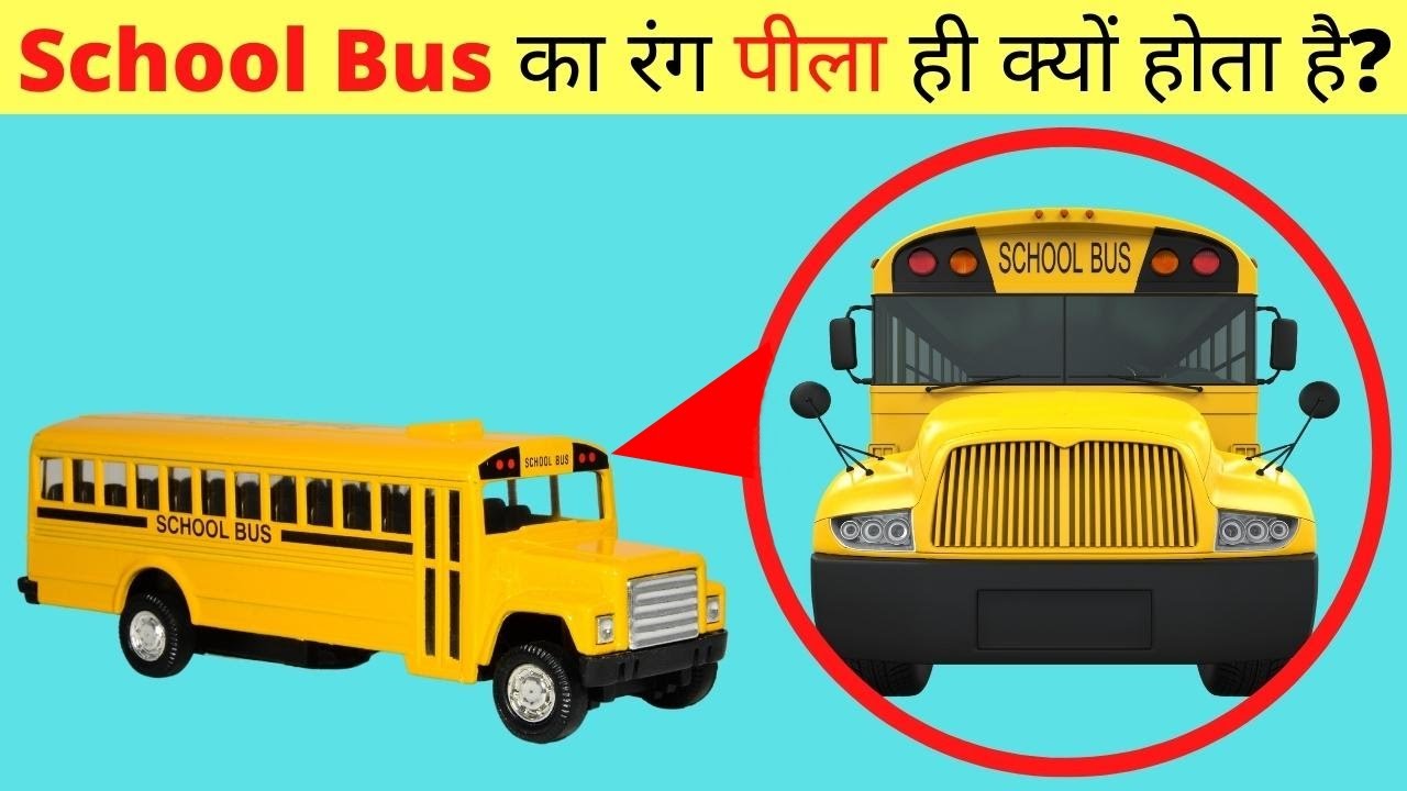 School Bus का रंग पीला ही क्यों होता है? Why is Color of the School Bus ...