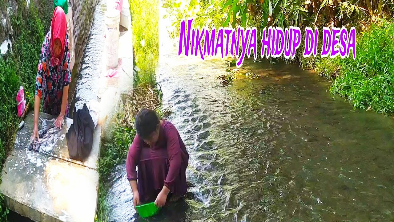 Kehidupan di desa - YouTube