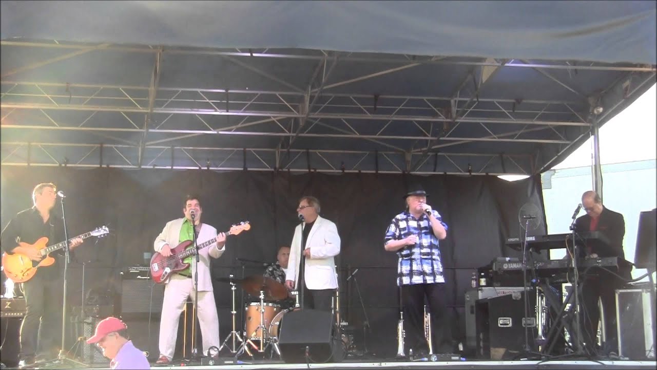 Jeff Swafford of The Fantastic Shakers PARTY TILL THE LIGHTS GO OUT ...