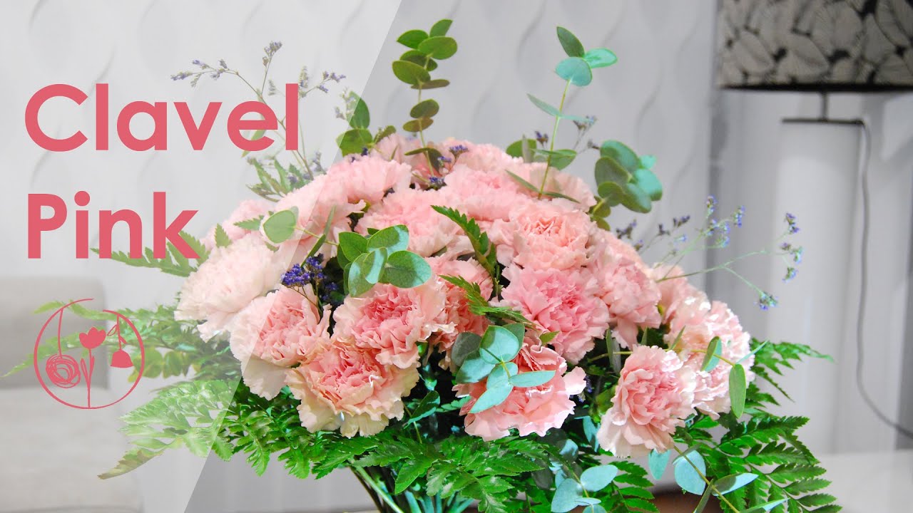 Clavel pink es nuestro ramo de claveles rosas - YouTube