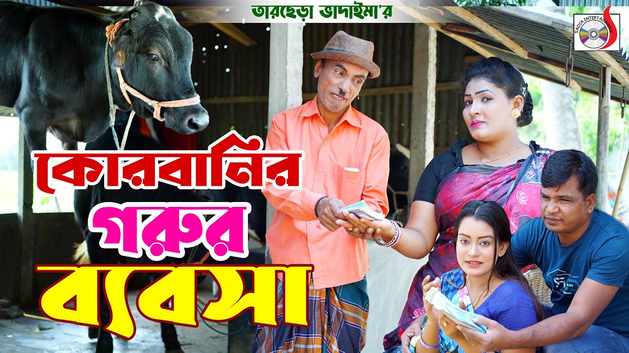 কোরবানির গরুর ব্যবসা । তারছেরা ভাদাইমা । Korbanir Gorur Babsha ...