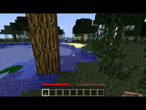 The Minecraft test - YouTube