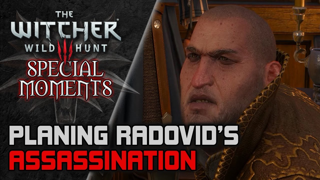 WITCHER 3 Plotting Radovid's Assassination (Geralt agrees to help ...