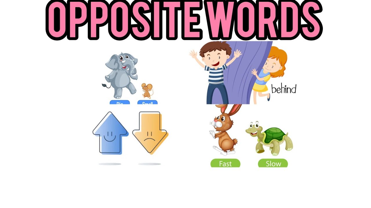 part1Learn opposite words in english|Opposite words |opposite words for ...