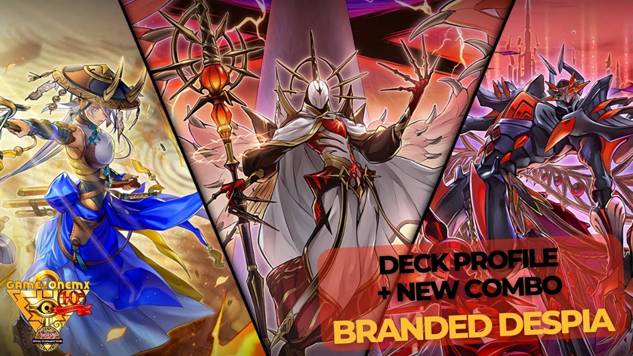 3 Branded Despia Combos You Must Know – HARO