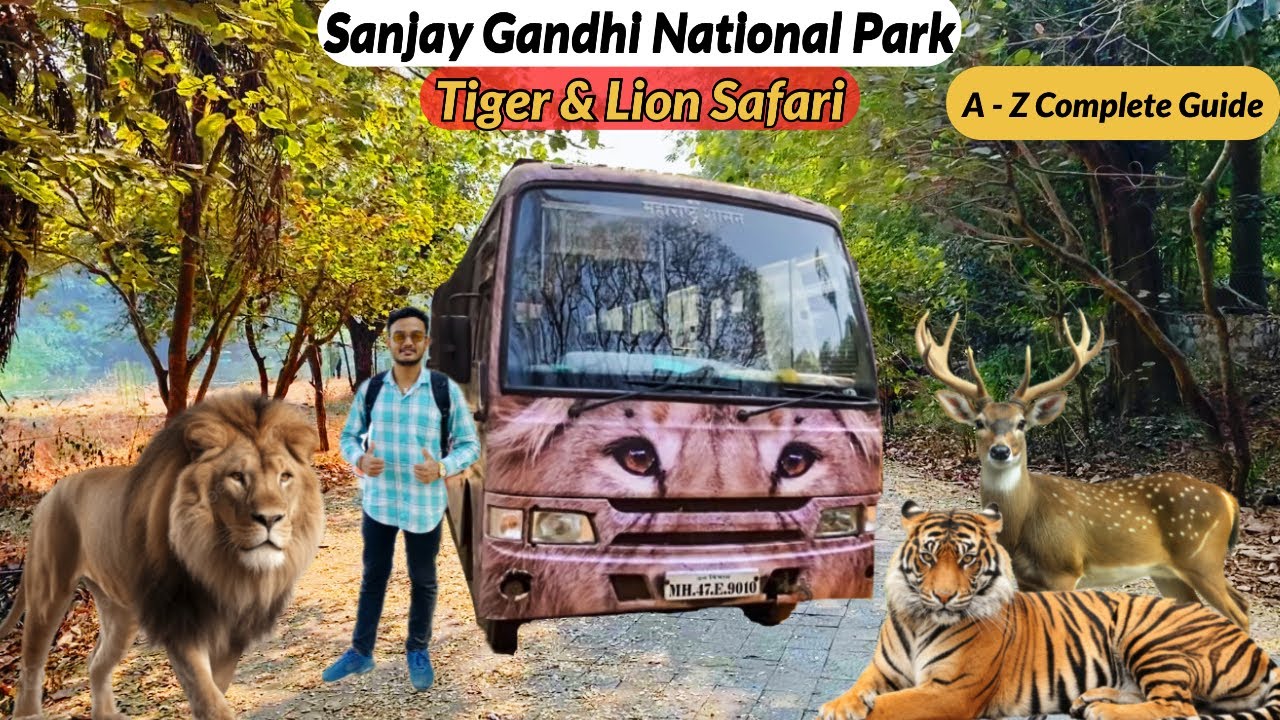 Tiger & Lion Safari / Sanjay Gandhi National Park / Borivali (w) / A-Z ...