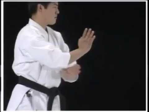 Gojyushiho - Kata & Bunkai _ Shito Ryu Karate - YouTube