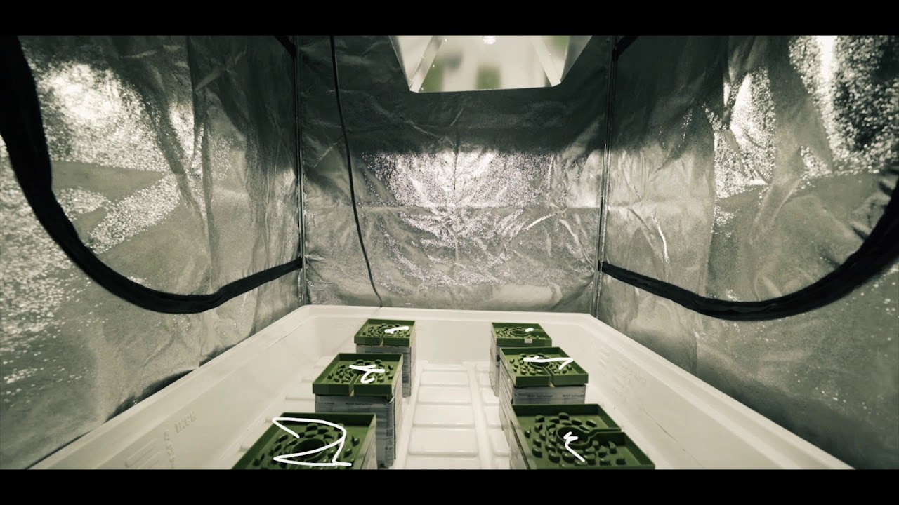 Grow Warehouse Promo Video - YouTube