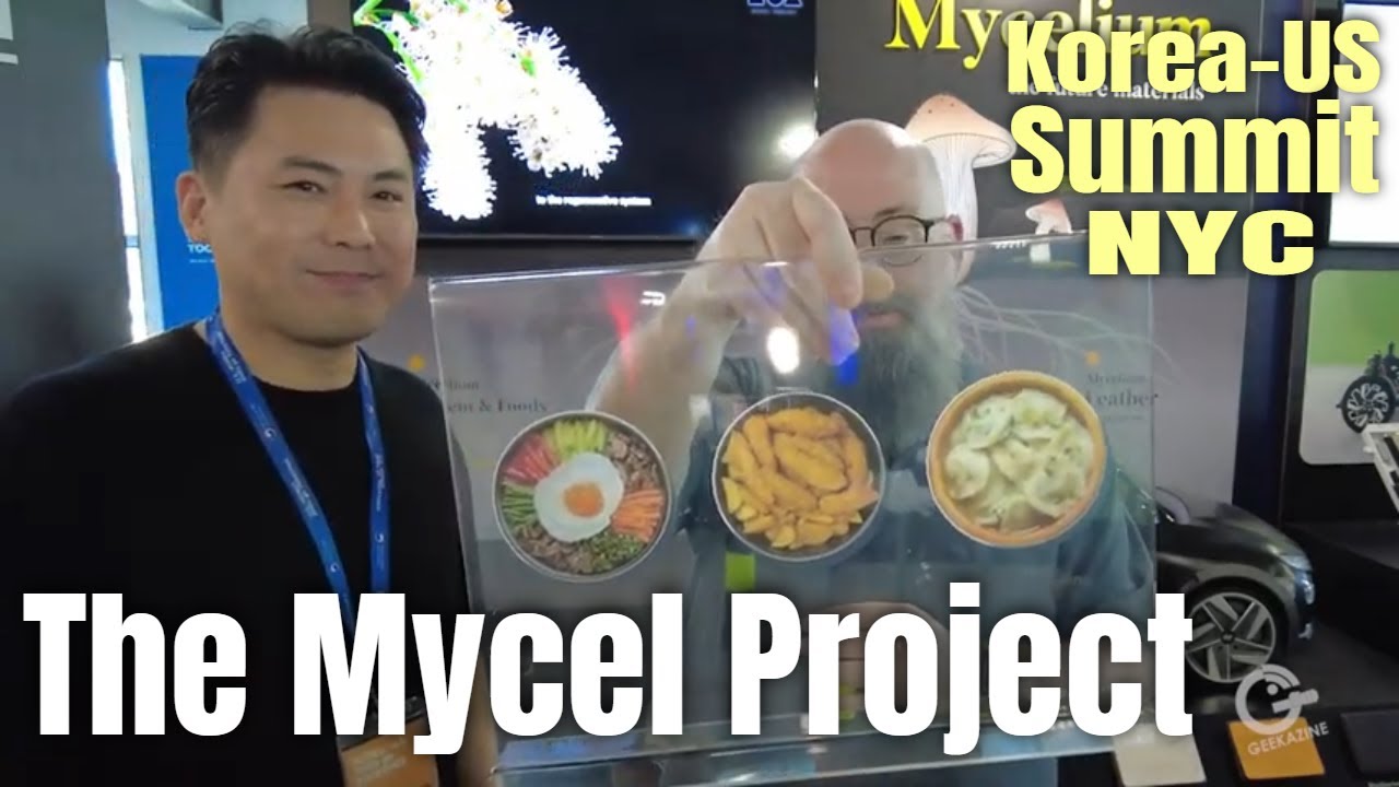 Mycel - Using Mycelium to Create Food and a Leather Alternative - YouTube