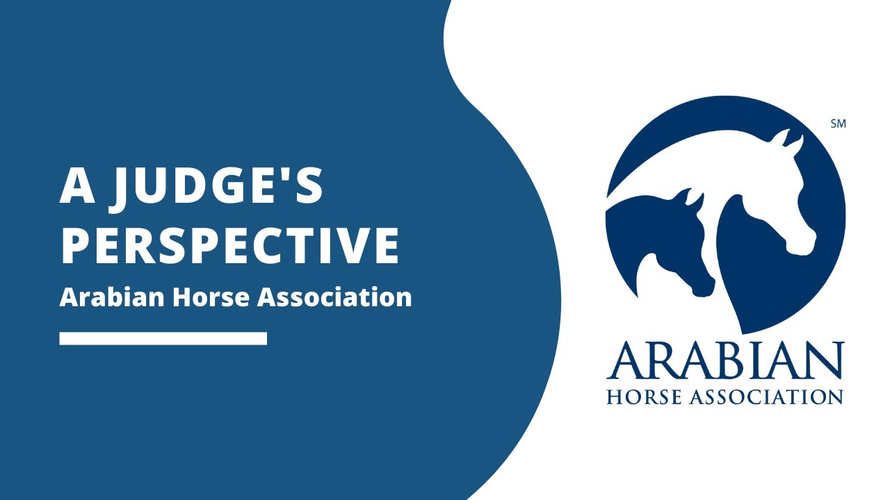 A Judge's Perspective: 2020 Youth and Mid Summer Nationals Arabian ...
