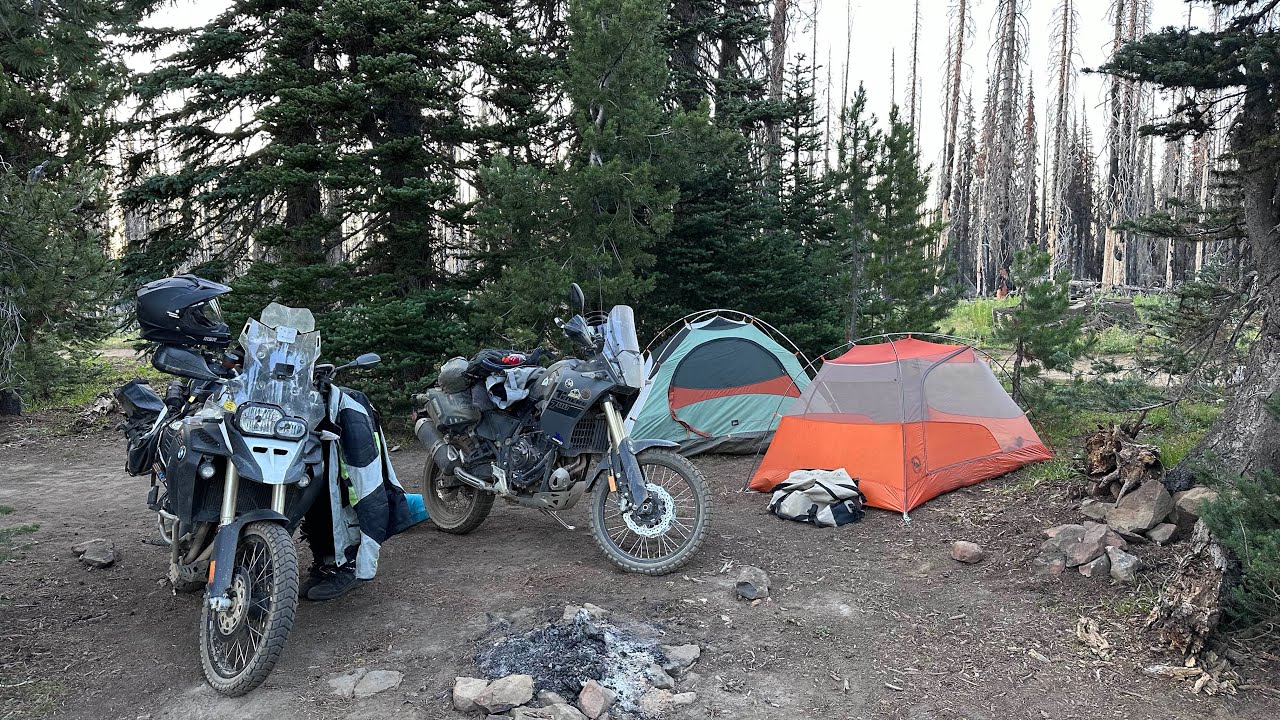 WABDR Section 1&2 - YouTube