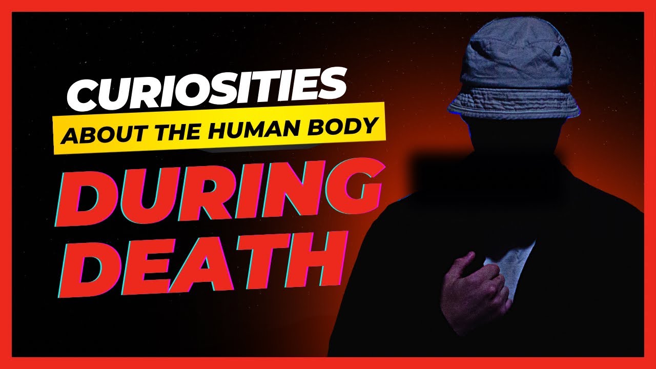 10 Fascinating Curiosities About the Human Body During Death - YouTube