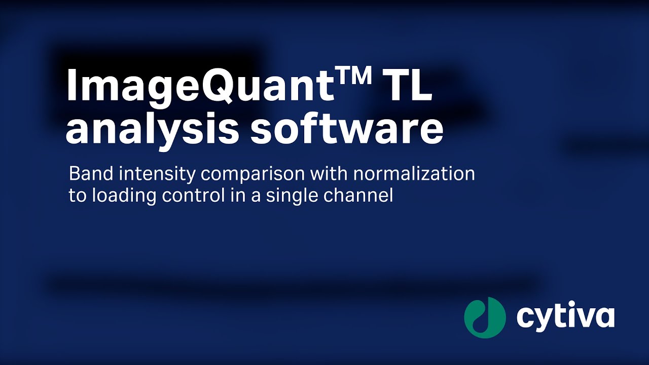 ImageQuant™ analysis software - Band intensity comparison to loading ...