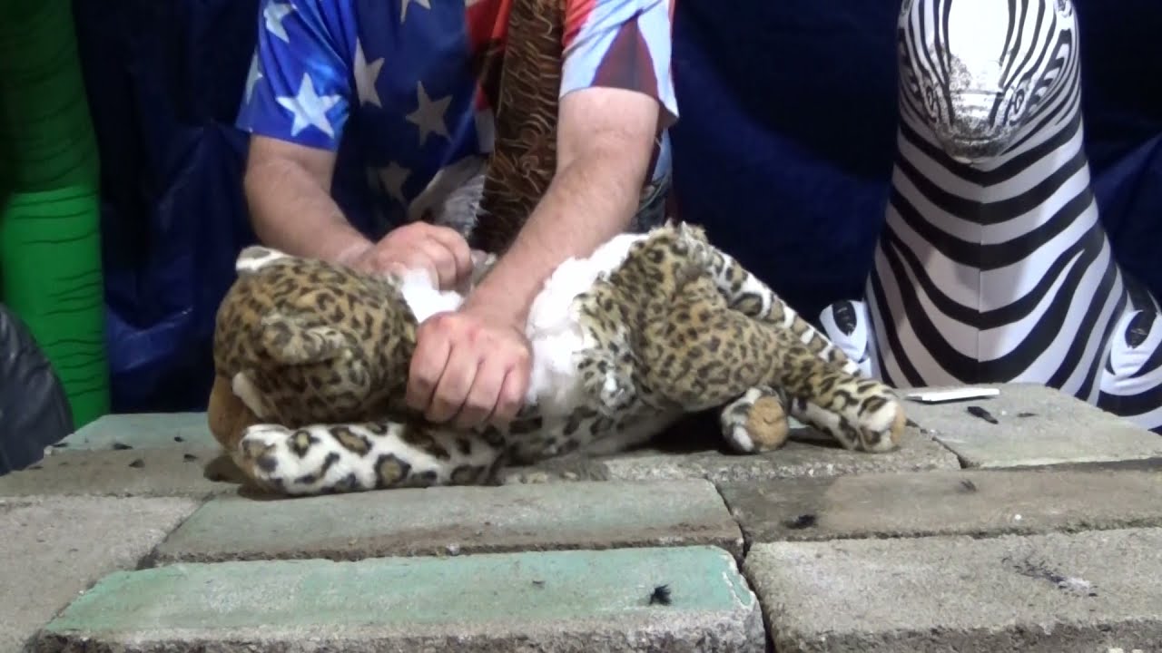 Destroy Stuffed Animal Leopard Cutting and ripping - YouTube