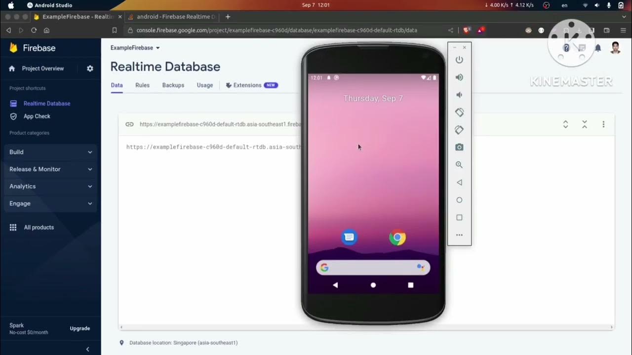 How to insert and fetch data from Firebase? | mehedisoftdev | Firebase - YouTube