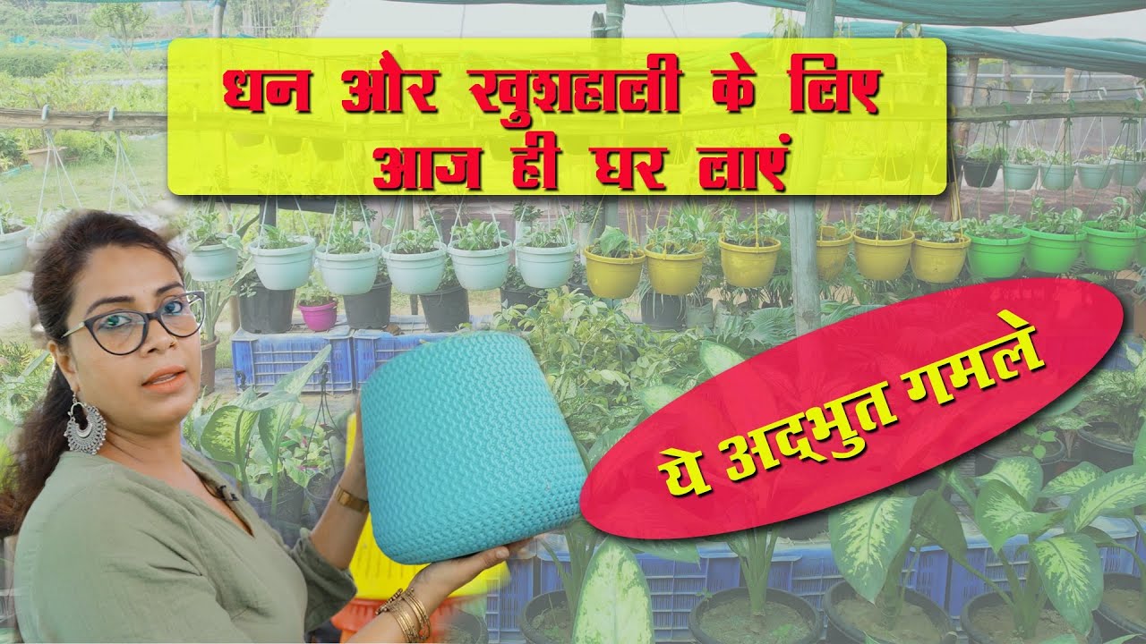 Gamla/Flower Pot #ghar ki decoration#decoration #flowers #fengshui # ...