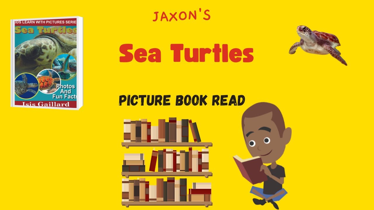 Jaxon Reads Aloud Sea Turtles Picture Book - Animal Photo Book Reading ...