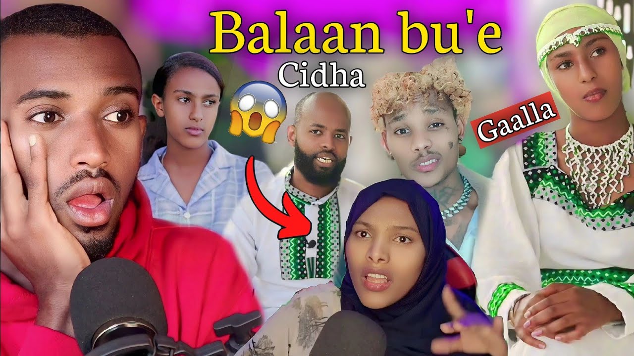 🛑Balaan bu'e cidha gochuufi ||Haati faxee bosse jalfadiloon zikra ||New ...