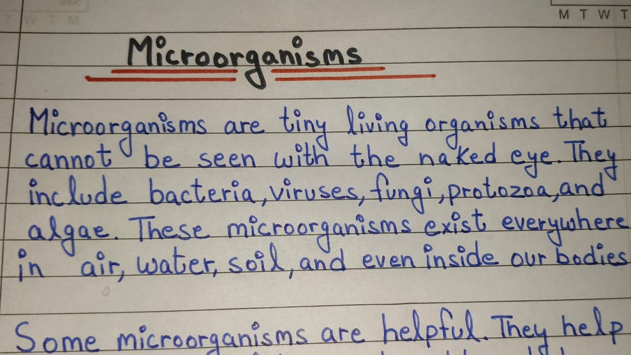 Essay on Microorganisms in English | Microorganisms | Essay Writing ...