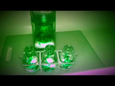 The Aurora Borealis (Science Project) - YouTube