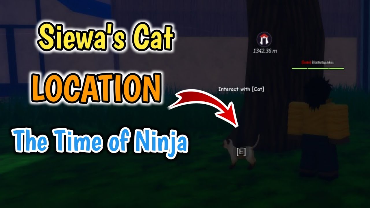 Where To Find Siewa's Cat In The Time of Ninja Roblox | Siewa's Cat ...
