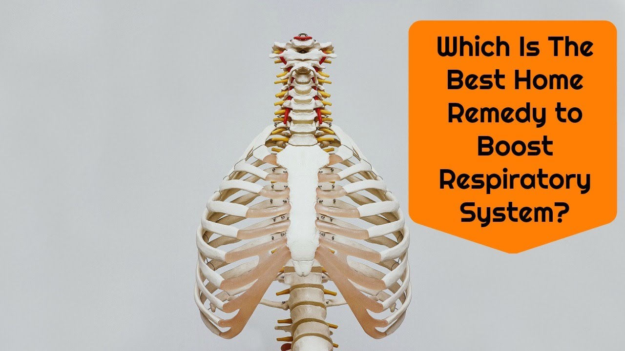 Which Is The Best Home Remedy to Boost Respiratory System? - YouTube
