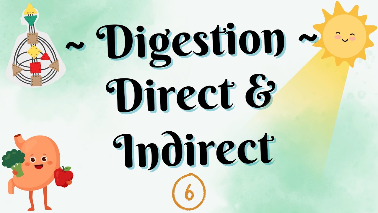 ~ Direct & Indirect Light Digestion ~ Human Design ~ - YouTube