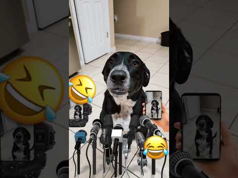 Puro chicken y q no pique por favor 😂😂😂#yahritzaysuesencia - YouTube