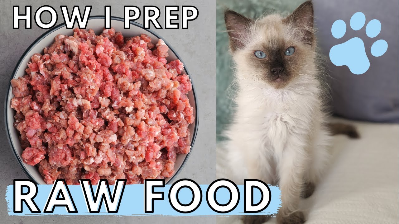 How to Prep RAW CAT FOOD - YouTube
