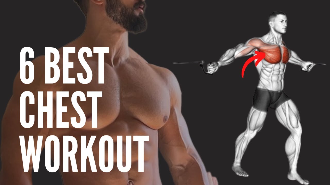 Chest Training for Beginners: Easy Exercises for a Stronger Chest - YouTube