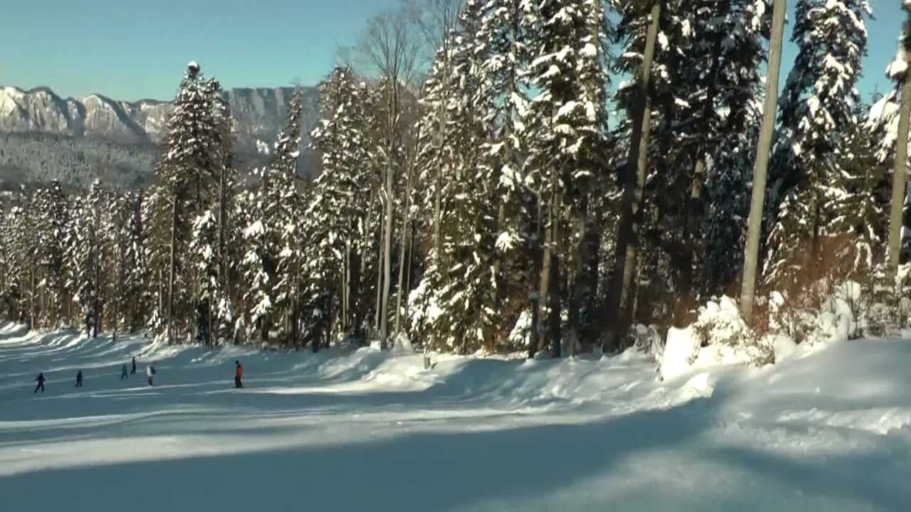 01 31 2012 ski predeal - partia cocosul - YouTube