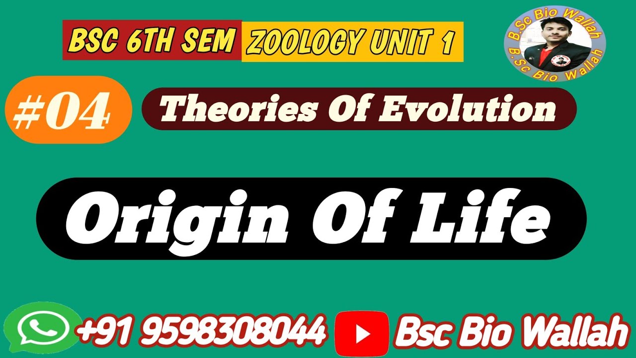 Origin of Life Part 4 (Biogeny ) | Theories Of Evolution | Bsc 6th Sem ...