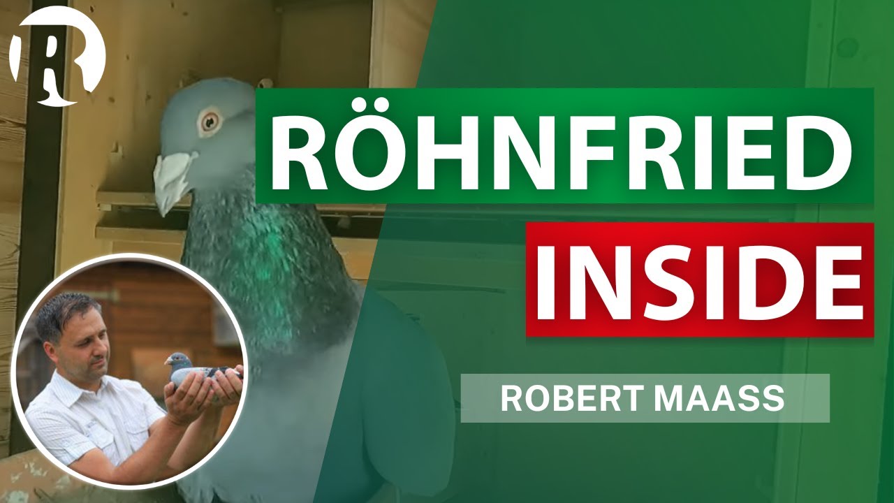 Röhnfried Inside bei Robert Maaß - YouTube