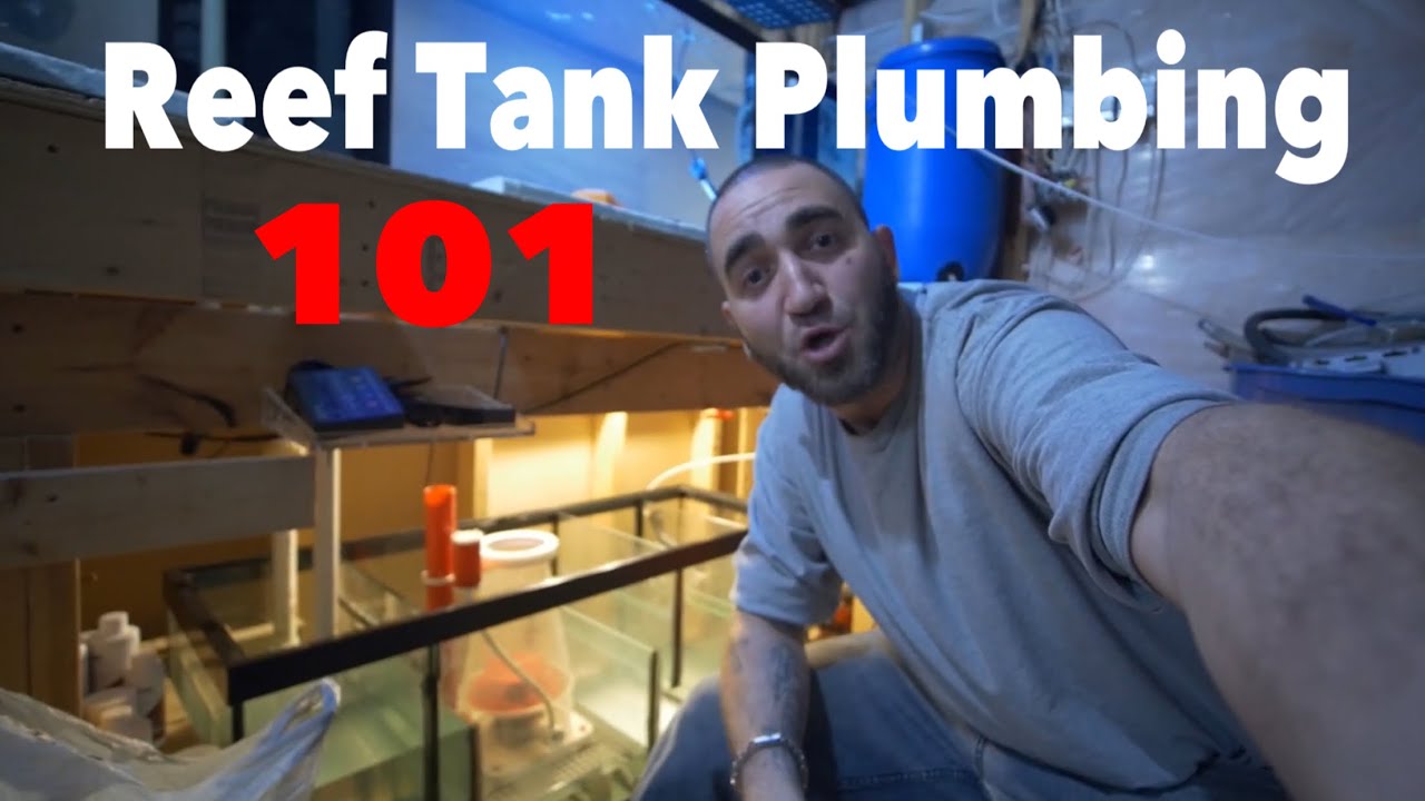 Understanding How a Reef Tank Plumbing Works - YouTube