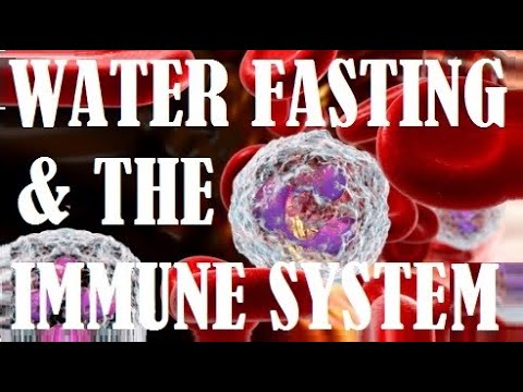 WATER FASTING AND THE IMMUNE SYSTEM! - YouTube