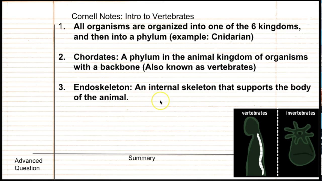 Cornell Notes: Vertebrates - YouTube