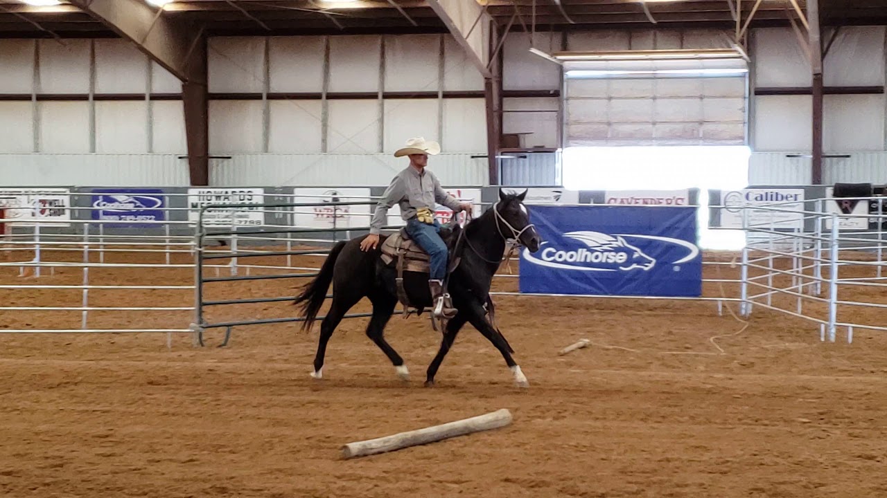 Range Riders Colt starting day 2.2 - YouTube