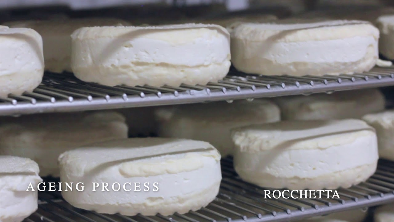 HOW OUR CHEESE IS MADE - YouTube